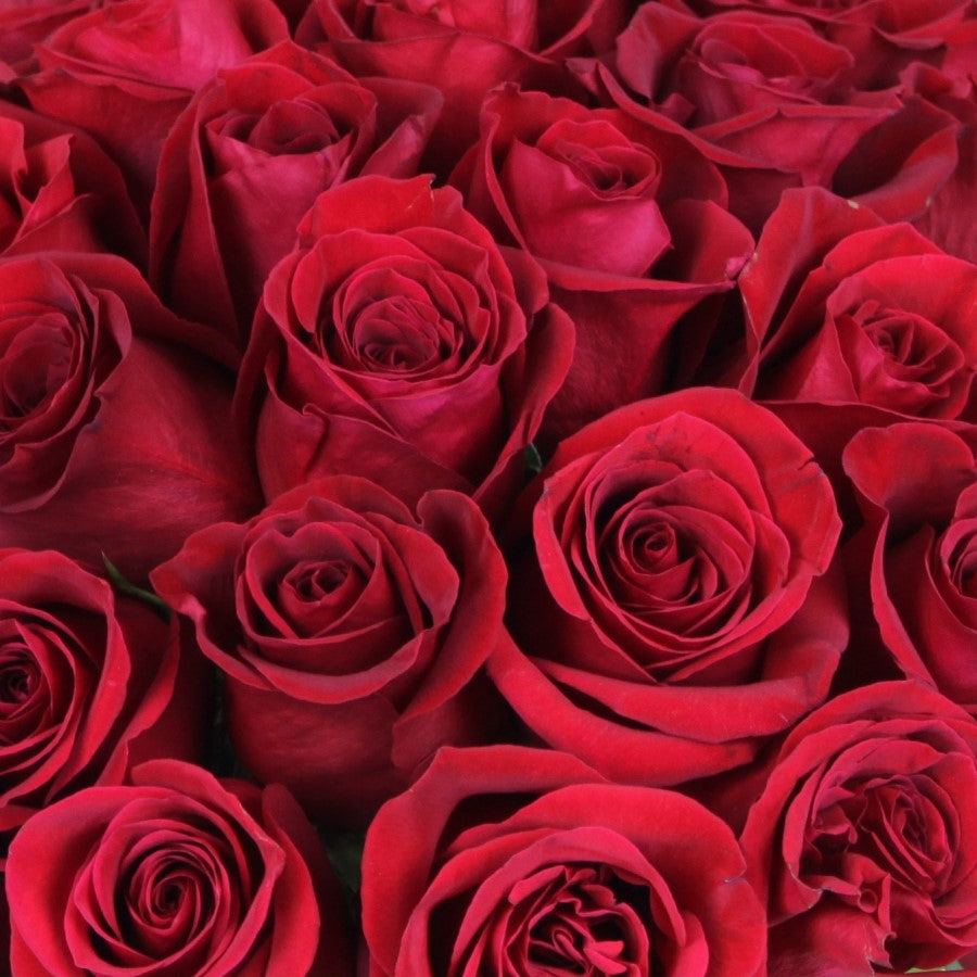 ArtsyFlora - Florist NYC. Flowers - NYC Same Day Delivery.